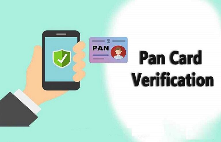 How To Check The PAN Card Verification? | Doverbrooklyn.com
